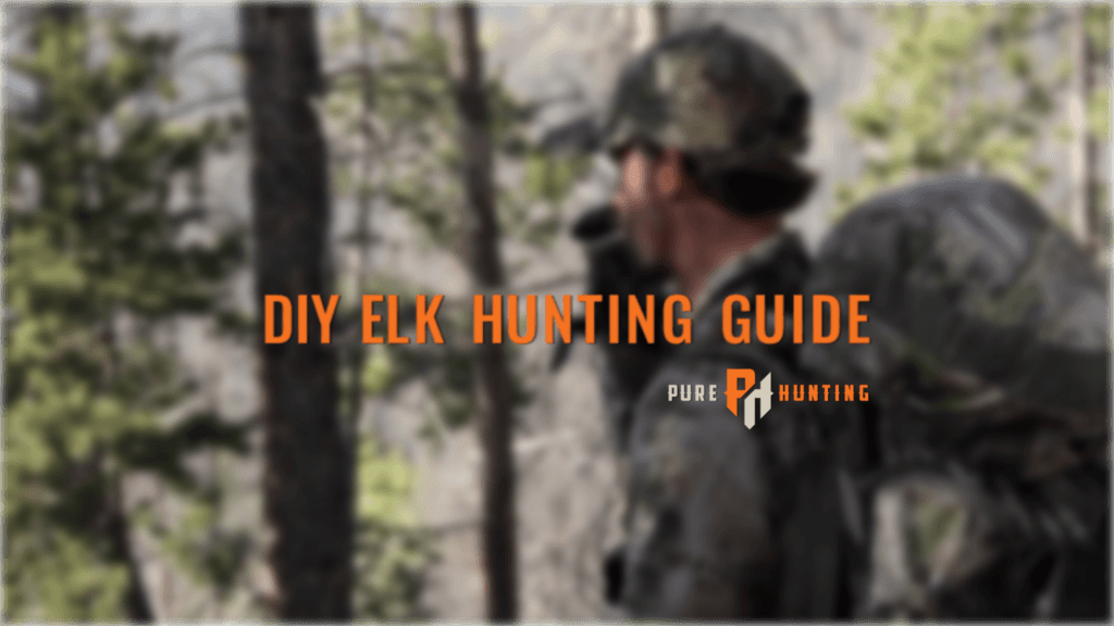 DIY-elk-hunting-guide-101_feature | Pure Hunting