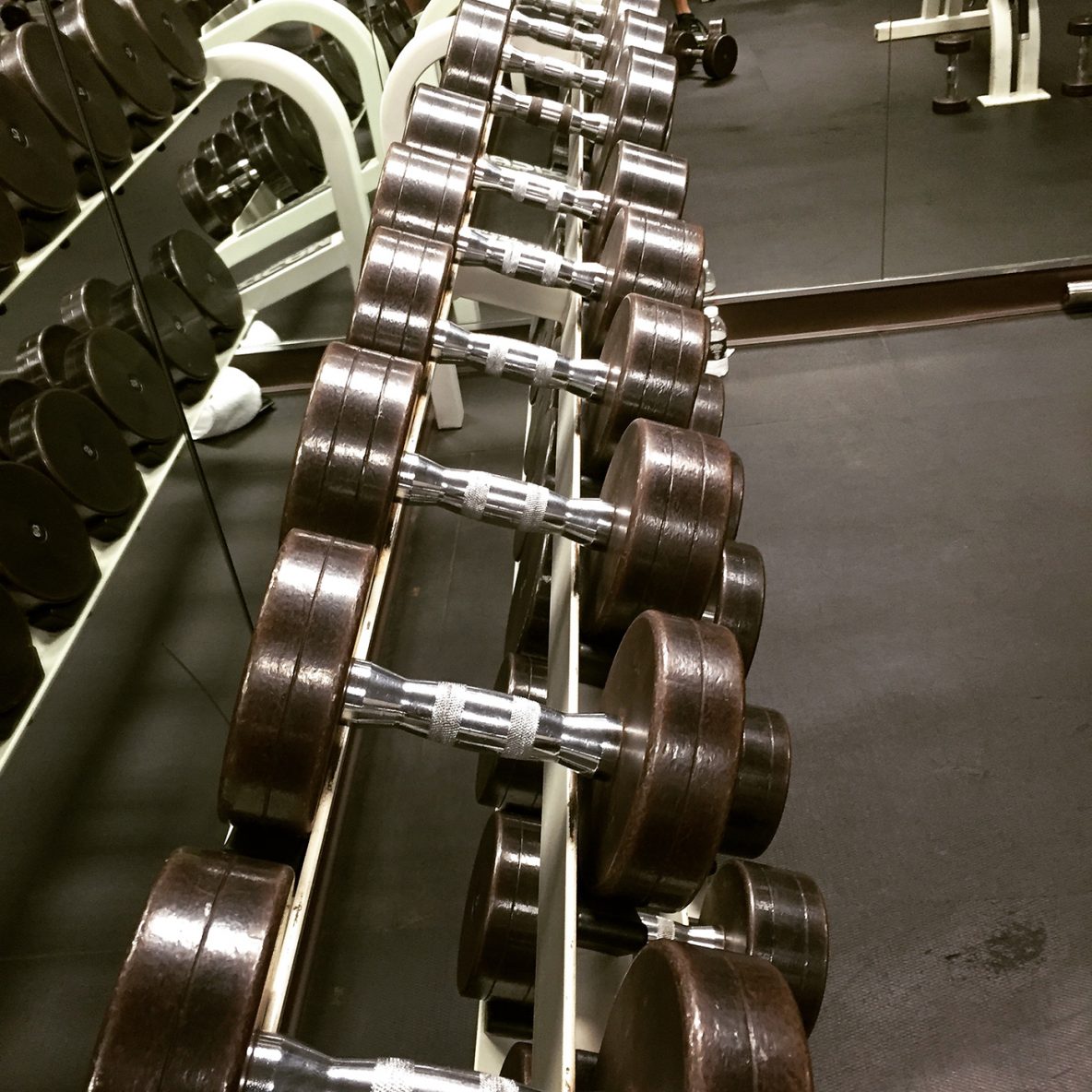 Hunting Workouts | Getting in Shape for Western Hunting | Pure Hunting