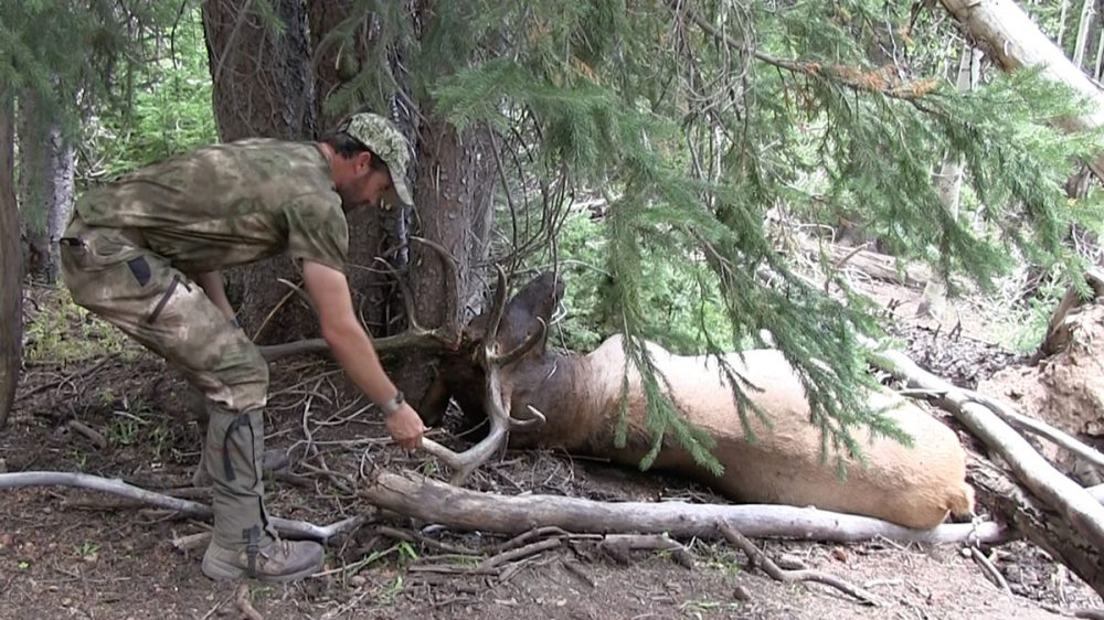 Utah Elk Hunting | Full Story of Willi Schmidt’s 2017 Hunt | Pure Hunting