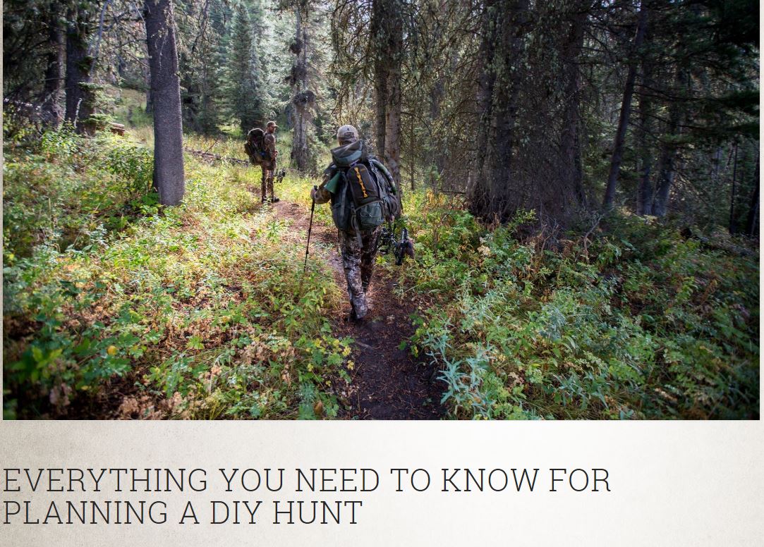 DIY Sheep Hunting | Tips and Tactics | Pure Hunting